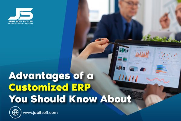 Advantages of a Customized ERP You Should Know About